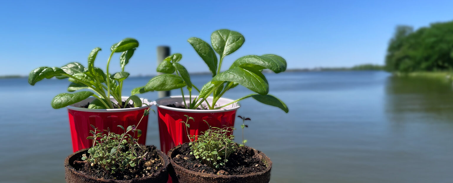 About Us – Blackwater Rising